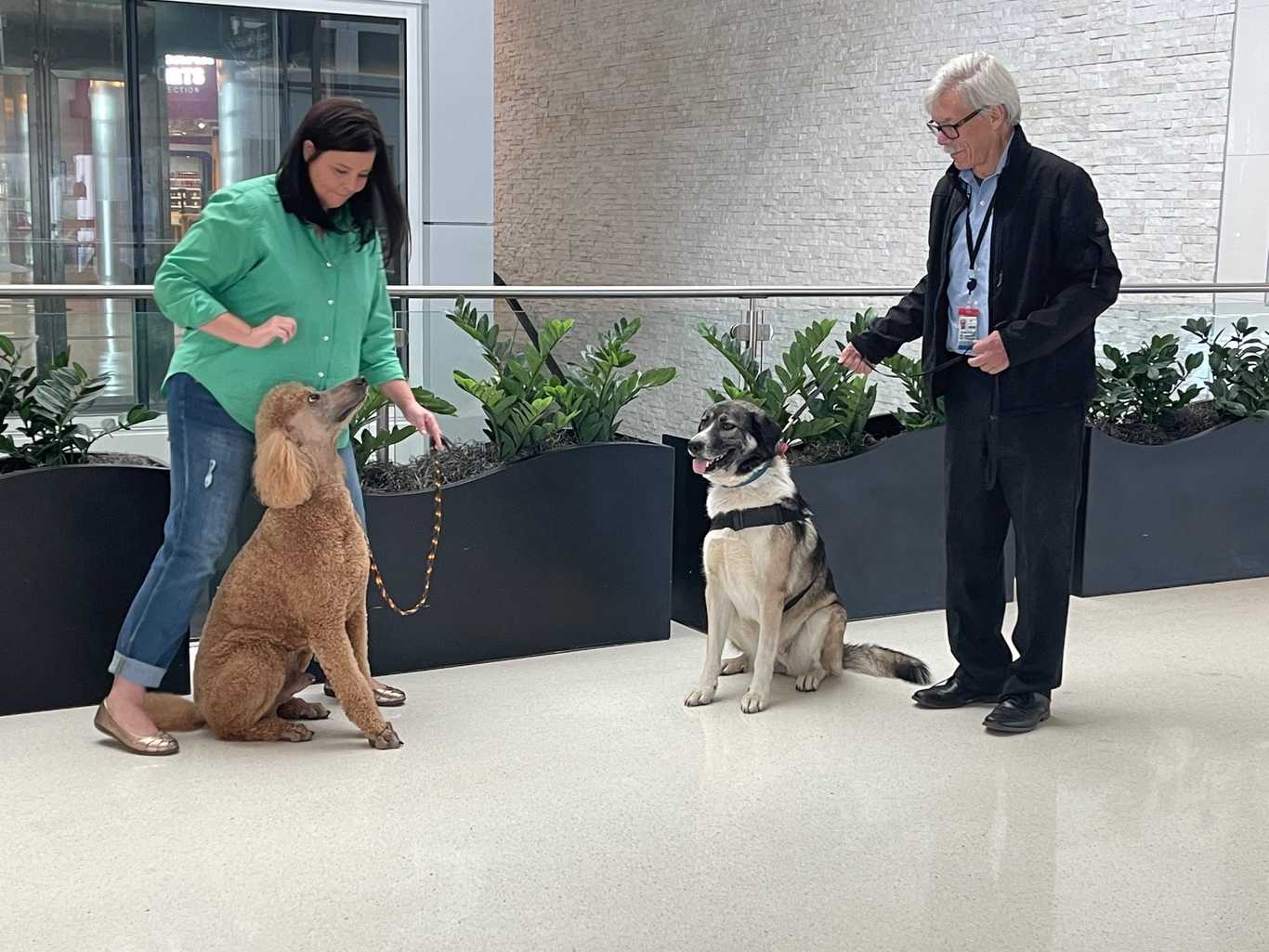 TLC @ bhm | Birmingham Airport Authority